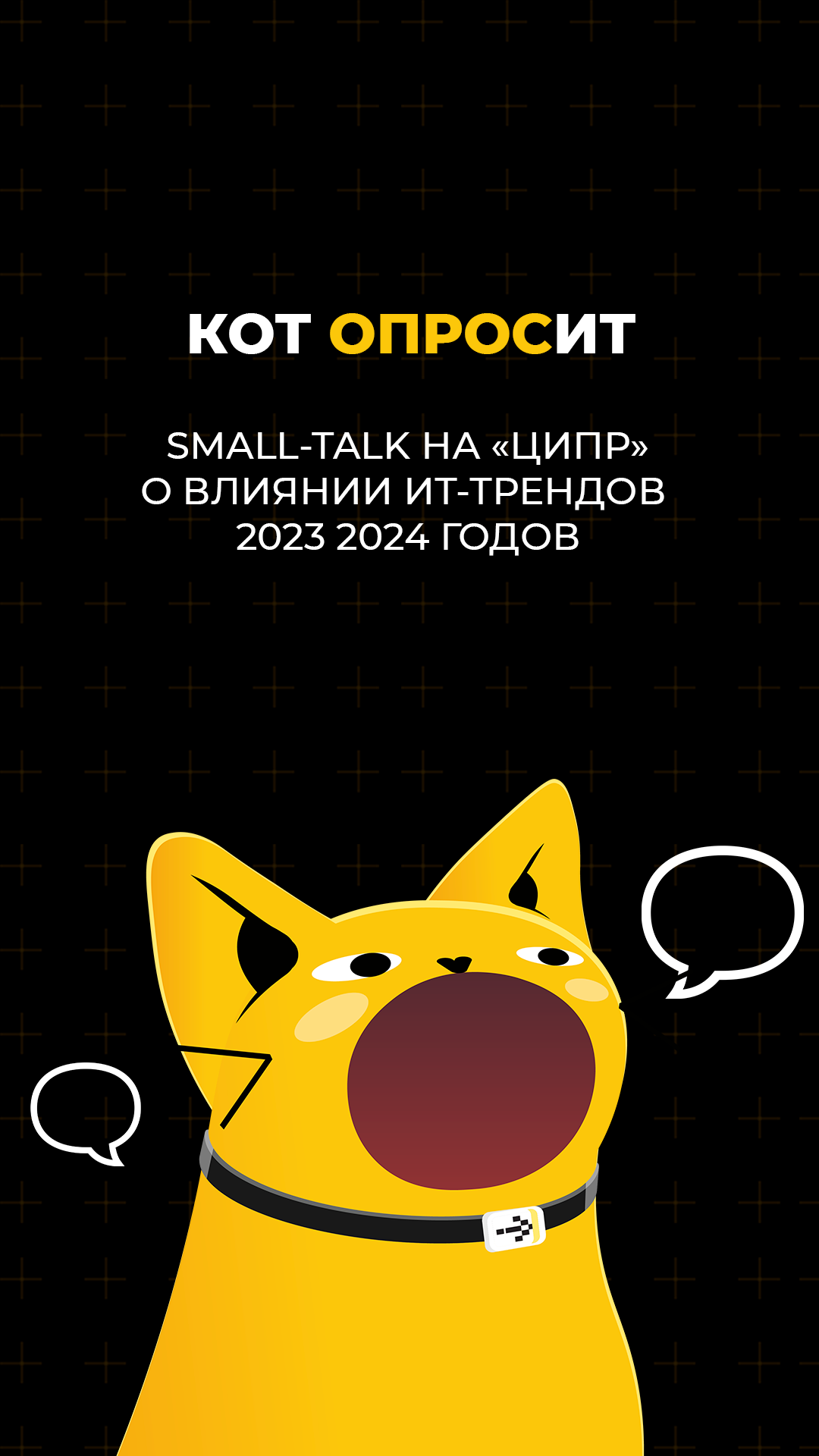 Интервью от CodeInside «Кот ОпросИТ» на «ЦИПР» • RUSSOFT